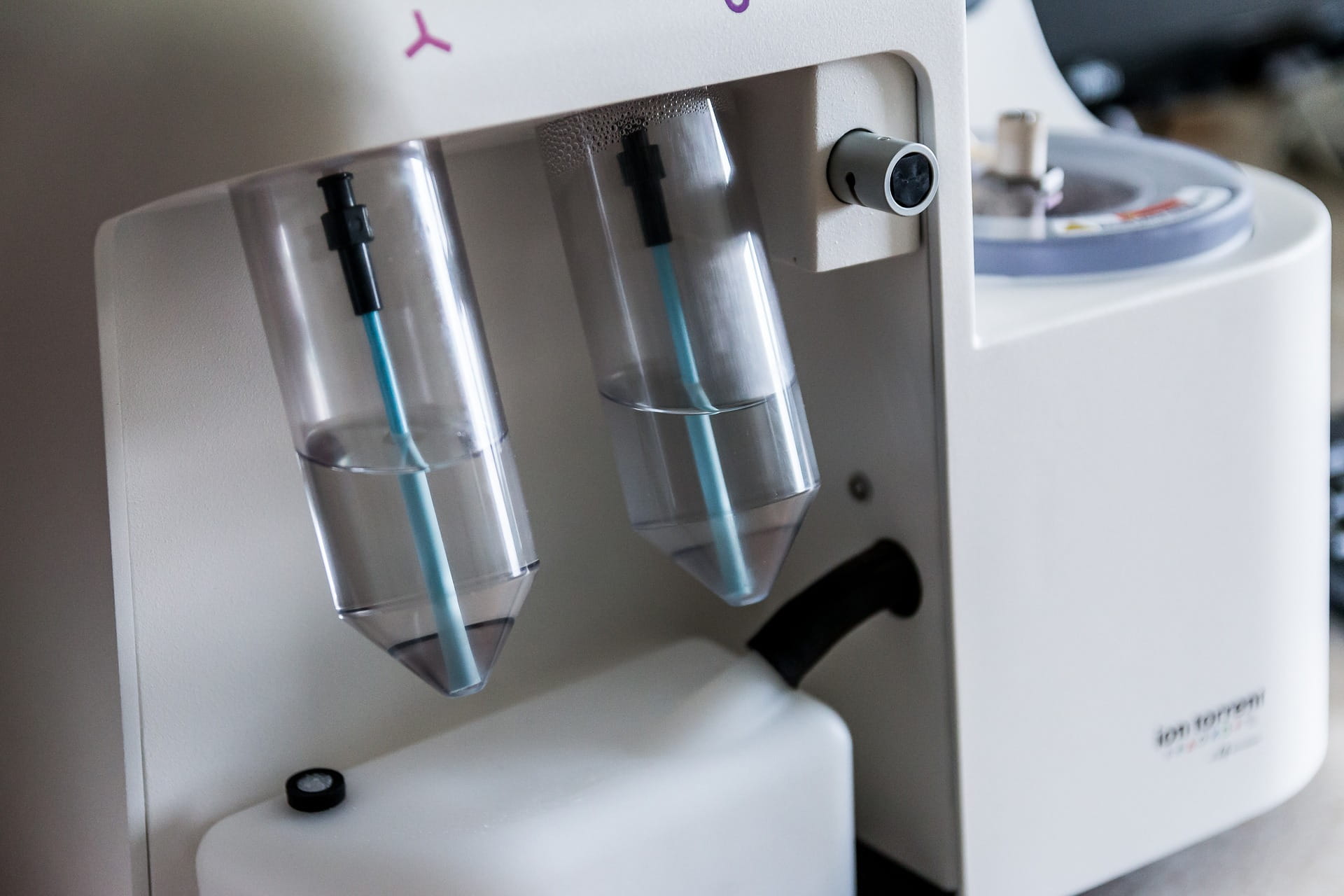 Pet Diagnostics in Cedar Park, TX - Whitestone Animal Hospital
